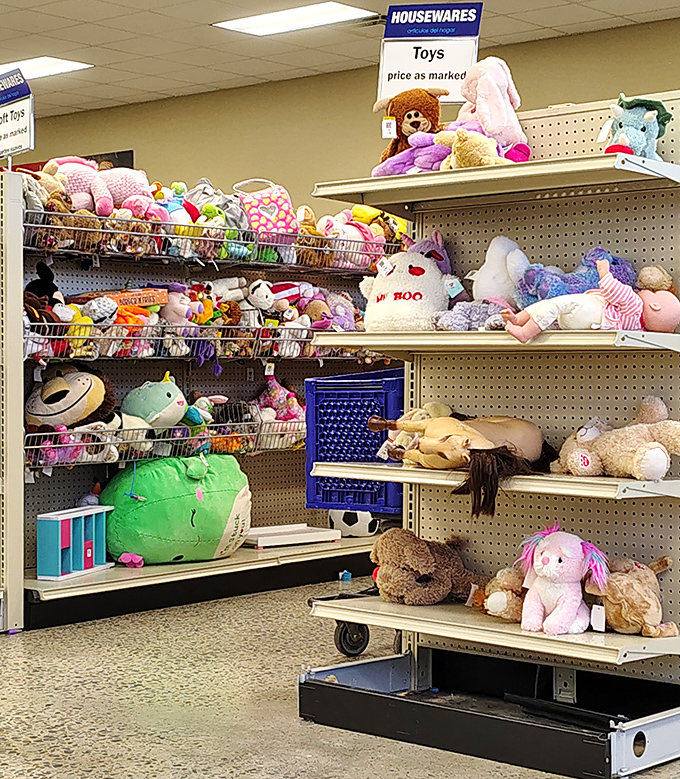 Stuffed animal adoption center. These gently-loved plush pals are ready for second chances and bedtime snuggles with new little humans.