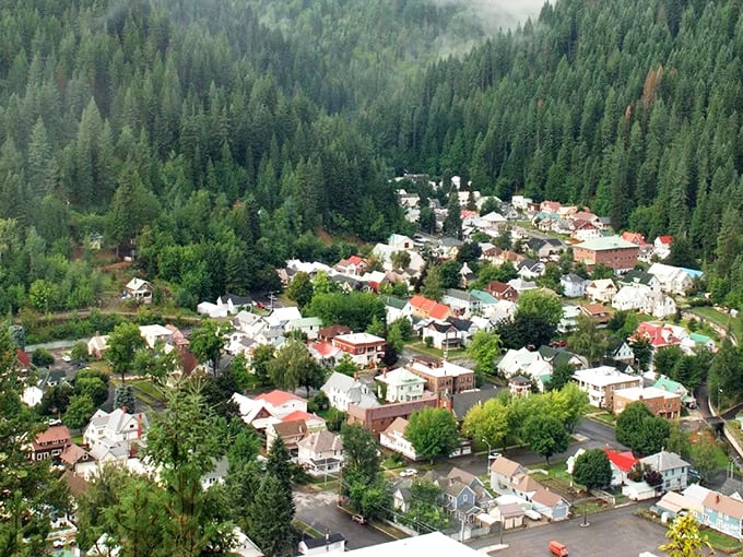 From above, Wallace reveals itself as a perfect pocket of civilization cradled by mountains, like a colorful quilt spread across nature's living room floor.