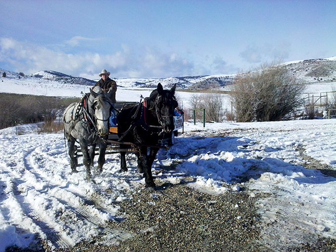 Horse-drawn sleigh rides through snowy landscapes. Winter in Hyrum offers nostalgic experiences that feel like stepping into a holiday card.