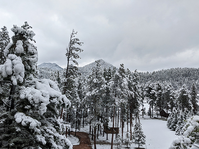 Winter's white blanket transforms the Black Hills into a snow globe scene that would make Currier and Ives jealous.