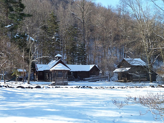 Winter transforms Helvetia into a snow globe scene that someone forgot to shake. These cabins have weathered countless mountain winters with stoic grace.