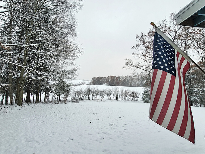 Winter transforms Tionesta into a snow globe scene that Norman Rockwell would rush to paint. Just add hot chocolate and wonder.