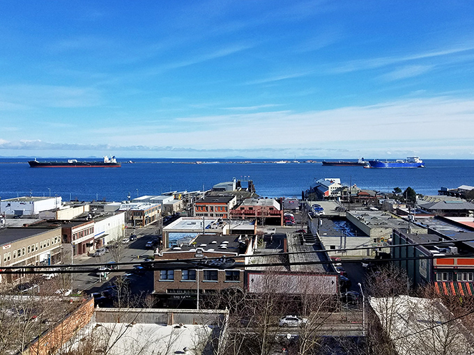 From above, Port Angeles reveals its perfect positioning between mountains and sea, with cargo ships standing like exclamation points on the horizon.