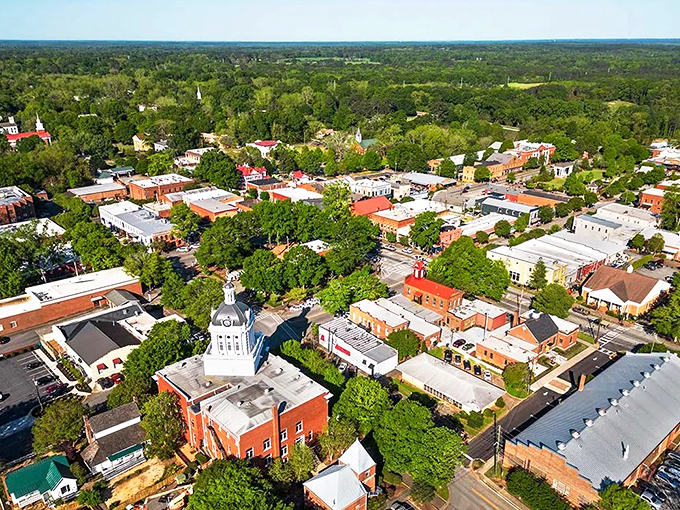 From above, Cairo reveals itself as a verdant oasis, where tree-lined streets embrace historic buildings and the courthouse dome stands as the community's crown jewel.