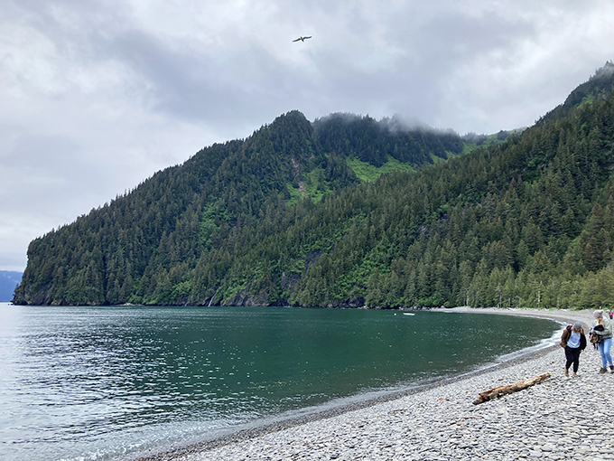 A pebble beach meets forest-clad mountains, where even the birds soaring overhead seem to pause in appreciation of the view.