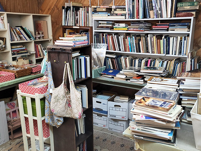 The book nook &ndash; where literary treasures and forgotten bestsellers coexist in perfectly imperfect stacks waiting for their next reader.