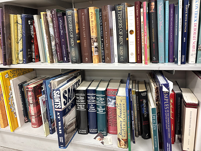 The book nook &ndash; where literary treasures hide between dog-eared paperbacks and someone's abandoned self-help journey.