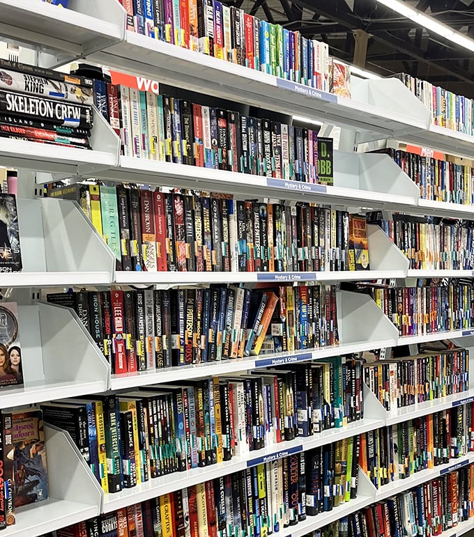 A bibliophile's dream where literary treasures await new readers. Mystery novels sit beside self-help guides&mdash;life's journey in paperback form.