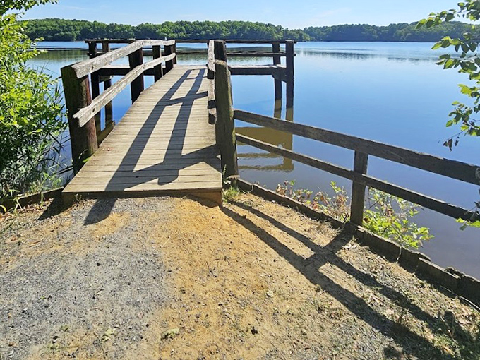 This unassuming dock is Delaware's version of a front-row seat to nature's greatest show&mdash;no ticket required, standing ovations encouraged.