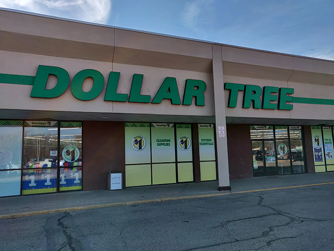 The Dollar Tree storefront stands proud, its green lettering a siren song to Minnesotans who appreciate value in an increasingly expensive world.