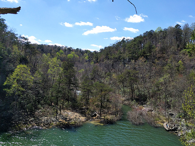 Little River Canyon's emerald waters wind through forested cliffs, offering a wilderness experience that feels worlds away from everyday concerns.