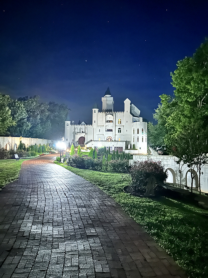 Illuminated against the night sky, the castle transforms into a glowing beacon that makes you question reality itself.