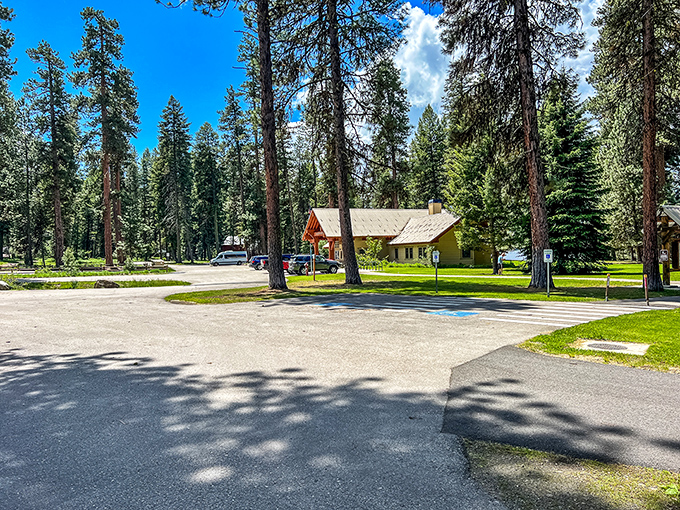Parking paradise &ndash; where your car gets front-row seats to a forest symphony while you're off exploring.