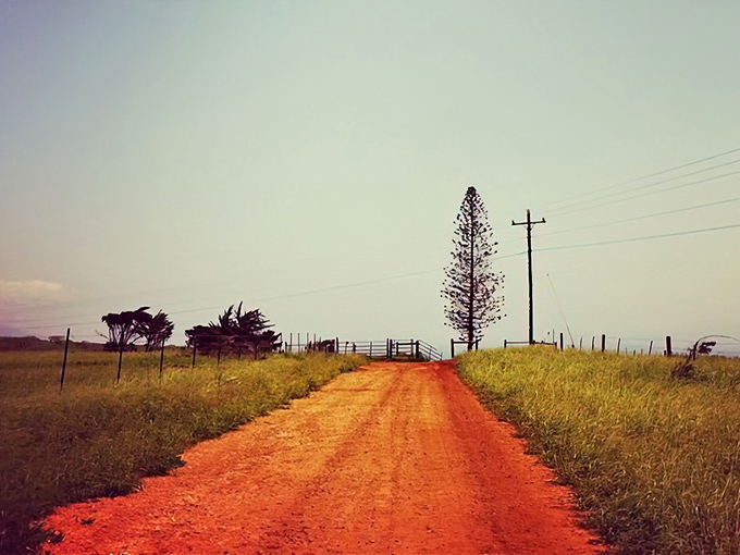 The road less traveled isn't always paved, but on Molokaʻi, these rustic routes lead to authentic experiences no highway could deliver.