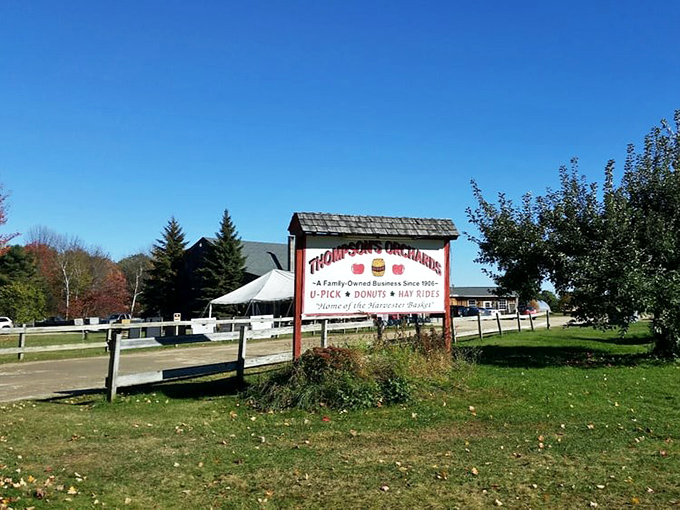A simple sign announces a family legacy of growing exceptional fruit. Sometimes the places with the least flashy advertising offer the most memorable experiences.