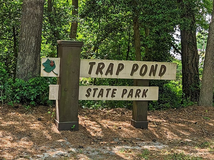 The sign might say "Trap Pond," but the only thing you'll be trapped by is the irresistible urge to return again and again.