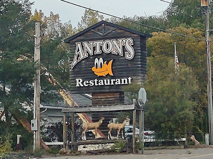 The iconic Anton's sign with its cheerful fish mascot has guided hungry travelers for generations. Those wooden deer have witnessed countless satisfied diners heading home.
