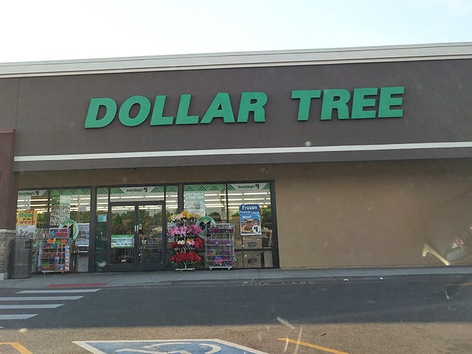 The iconic green signage serves as a siren call to savvy shoppers, promising a wonderland of affordable treasures just beyond those glass doors.