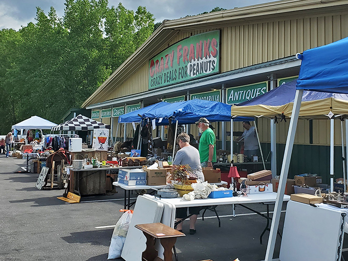 Where indoor treasures spill into the sunshine. The outdoor market transforms parking lots into possibility fields where one person's castoffs become another's centerpiece.
