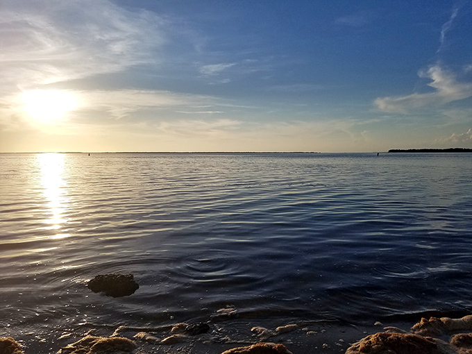 As the sun melts into Apalachicola Bay, even the most dedicated photographers eventually put down their phones and simply breathe it all in.