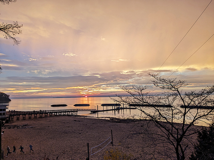 Nature's farewell performance each evening. Elk Neck sunsets paint the Chesapeake with colors that would make even the most jaded photographer gasp.