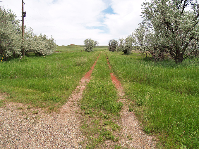 Two tracks leading into the green unknown&mdash;Griffin's streets now reduced to faint impressions in the resilient prairie.