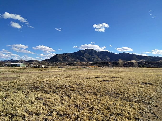 Sweeping vistas of mountains and grasslands remind visitors that in Patagonia, nature still has the upper hand &ndash; and we wouldn't want it any other way.