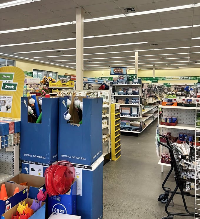 Wide aisles accommodate the inevitable cart traffic jams during peak shopping hours&mdash;a thoughtful touch in this temple of thriftiness.