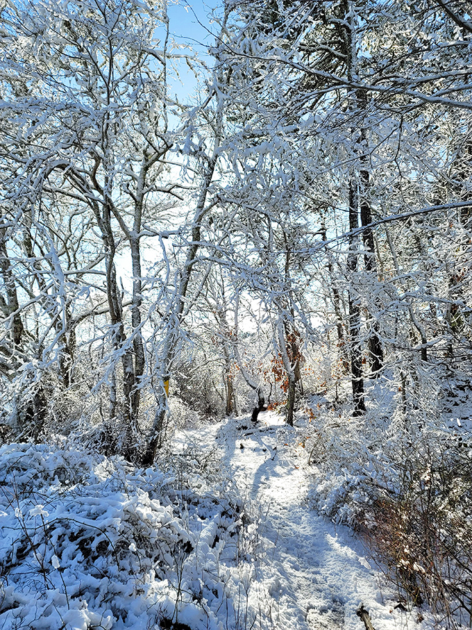 Nickerson's seasonal wardrobe change brings a magical frost-covered wonderland that makes summer swimmers wonder if they've wandered into Narnia.