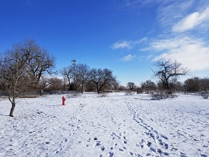 Winter blankets North Platte in pristine white, creating postcard scenes where even fire hydrants become accidental art installations.