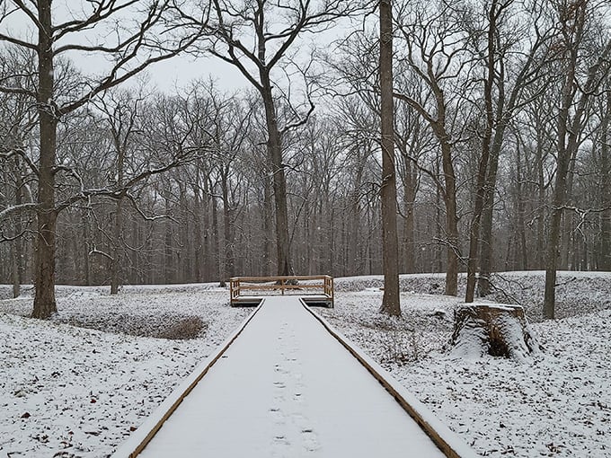 Winter transforms the mounds into a snow-dusted wonderland. Footprints tell the story of solitary explorers brave enough to experience the park's quiet season.