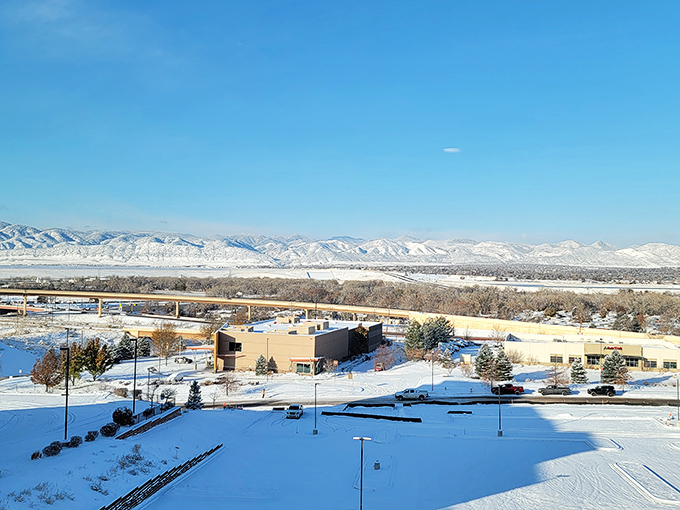 Winter blankets Littleton in pristine white, transforming ordinary landscapes into postcards that make even cold-weather skeptics reconsider their position.