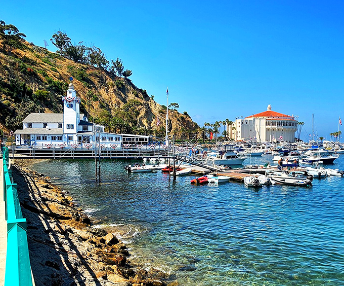 Catalina Island's crystal-clear waters and yacht-filled harbor create California's ultimate island escape.