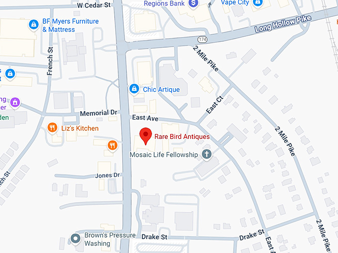 16. rare birds antiques map