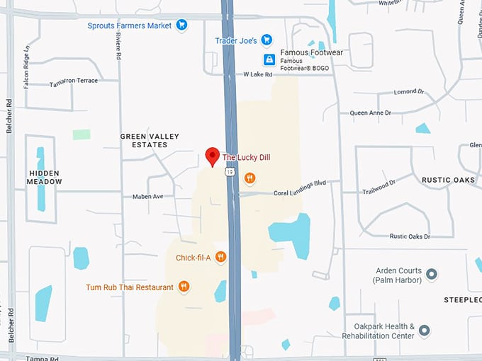 16. the lucky dill map