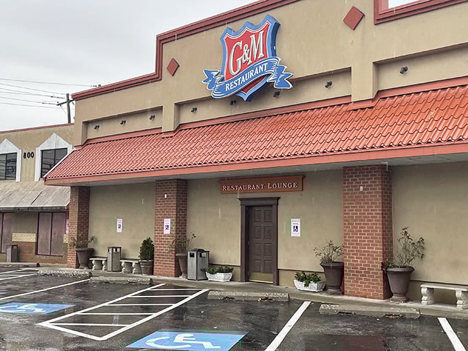 Sometimes the best treasures hide behind the most unassuming facades - like this crab cake goldmine.