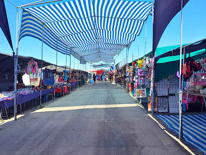 Blue and white striped canopies create a treasure-hunter's highway at Pasco Flea Market, where bargains await around every corner.