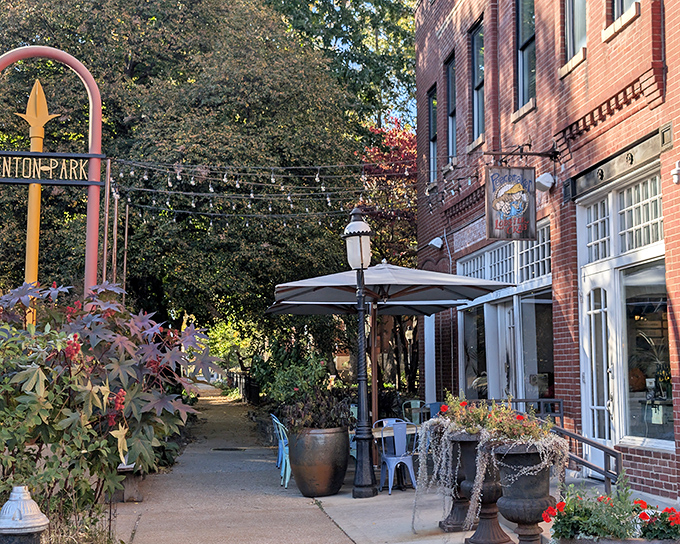 The charming entrance to Peacemaker, where string lights and potted plants promise coastal comfort in Benton Park.