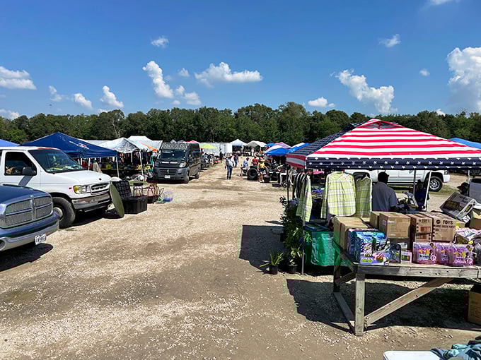 Treasure hunting paradise! Rows of colorful tents stretch across Pearland Flea Market, where one person's castoffs become another's prized finds.