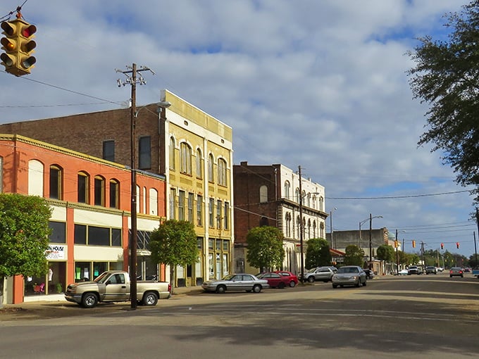 Historic downtown Selma showcases colorful brick buildings that have witnessed generations of stories. Time moves slower here, just like the traffic lights.