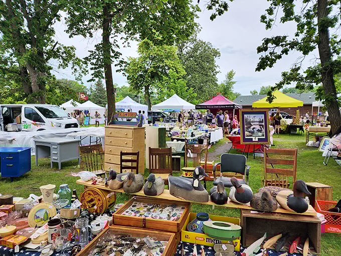 Treasure hunting paradise! Tables laden with vintage duck decoys and antiques stretch across Shady Hollow's grassy field, where one person's castoffs become another's treasures.