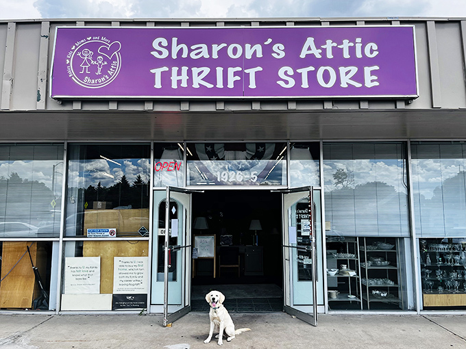 The purple sign of Sharon's Attic beckons like a siren call to bargain hunters. Even the dog knows where the deals are!