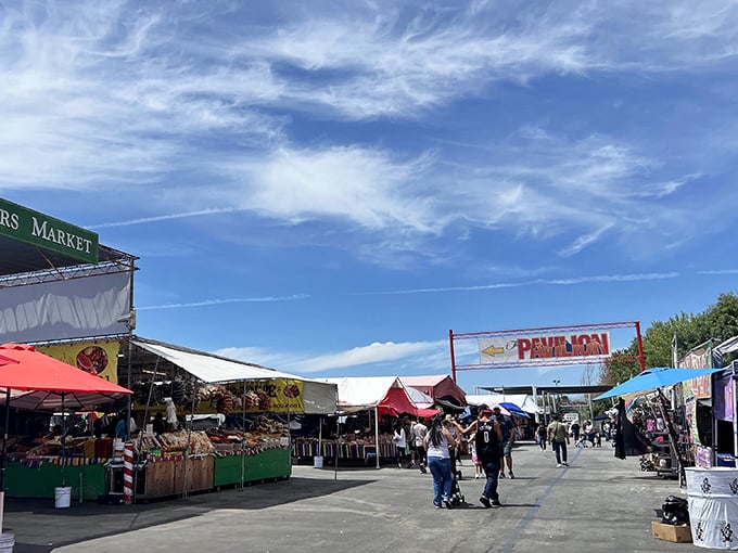 Bargain hunters' paradise! The San Jose Flea Market stretches as far as the eye can see under perfect California skies.