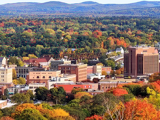 Fall foliage frames Bangor's skyline in nature's own masterpiece. Who needs expensive art when Maine paints this for free?