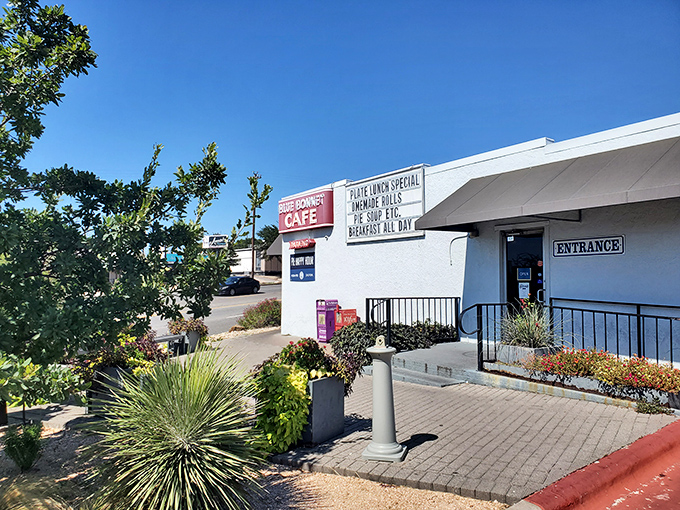 Blue Bonnet Cafe's timeless charm beckons like a beacon for anyone craving real Texas diner comfort food.