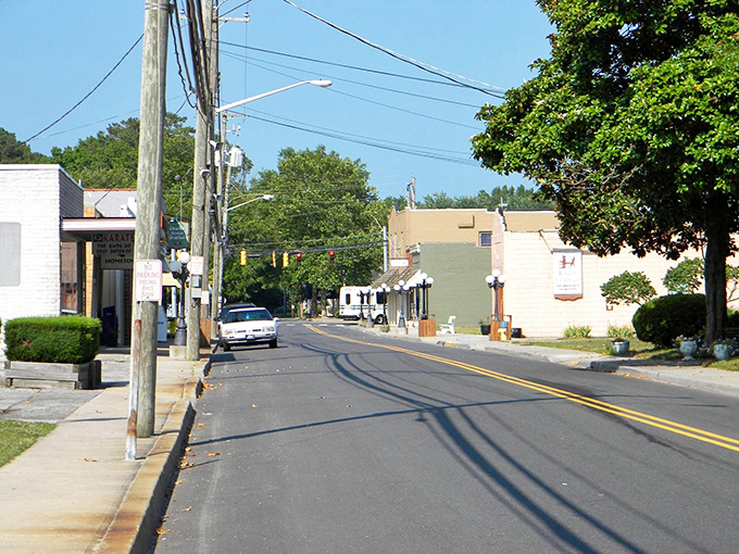Selbyville's quiet main street might look sleepy, but those small-town shops hide big personalities and even bigger community spirit.