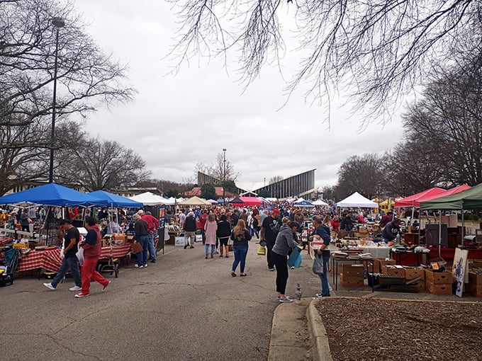 Weekend warriors unite! The Raleigh Market buzzes with shoppers navigating a sea of tents, each one a potential goldmine of unexpected finds.
