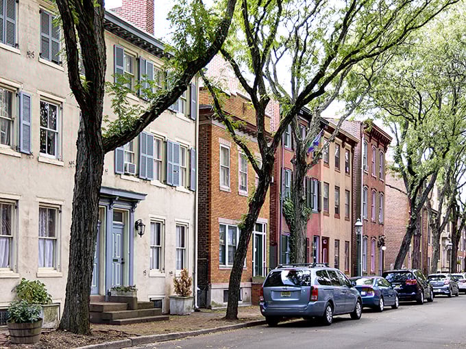 Tree-lined streets and colorful row houses give Trenton neighborhoods a cozy, community feel that's increasingly rare.