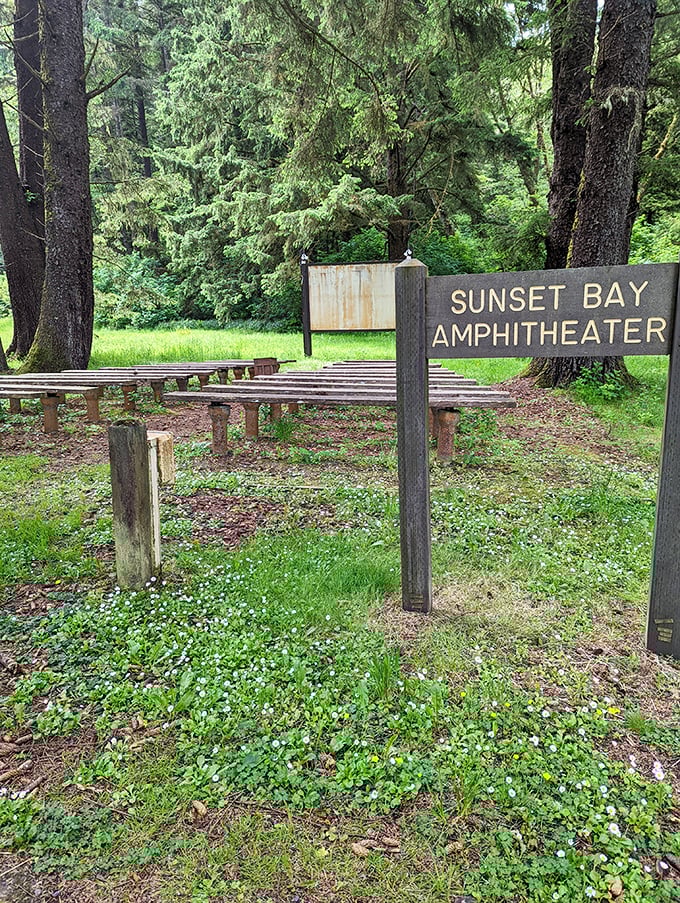 Forest amphitheater where the trees provide better acoustics than any concert hall you've ever overpaid for.