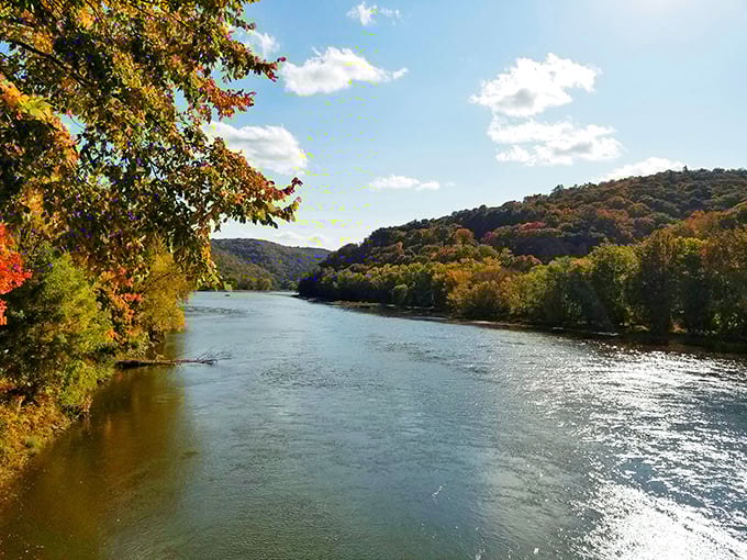 The Allegheny River doesn't just flow through Tionesta &ndash; it flows through its identity, offering nature's version of meditation with every ripple and reflection.